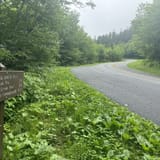 Noland Divide Trail, North Carolina - 126 Reviews, Map | AllTrails