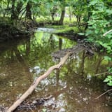 Anchorage Trail, Kentucky - 765 Reviews, Map | AllTrails