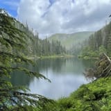Spider Lake Trail, Washington - 240 Reviews, Map | AllTrails