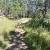 Painted Rocks Nature Trail, Washington - 770 Reviews, Map | AllTrails