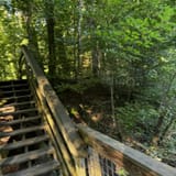 Henderson Park Loop, Georgia - 1,893 Reviews, Map | AllTrails