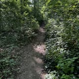 Henderson Park Loop, Georgia - 1,893 Reviews, Map | AllTrails