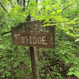 Unity Village Nature Trail, Missouri - 1,648 Reviews, Map | AllTrails