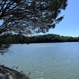 Flat Fork Ridge Trail, Ohio - 1,386 Reviews, Map | AllTrails