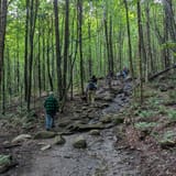 Mount Arab Trail, New York - 2,349 Reviews, Map | AllTrails