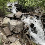 Burch Creek Trail, Utah - 777 Reviews, Map | AllTrails
