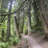 Chuckanut Falls, Washington - 598 Reviews, Map | AllTrails