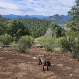 Eagle's View Trail Loop, Colorado - 3,199 Reviews, Map | AllTrails