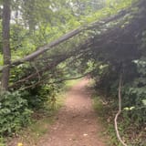 Fox Hollow to Dickey Ridge Loop, Virginia - 667 Reviews, Map | AllTrails