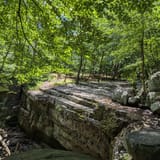 Ringing Rocks Trail, Pennsylvania - 350 Reviews, Map | AllTrails