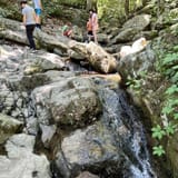 Cascade Falls Loop Trail, Maryland - 2,890 Reviews, Map | AllTrails