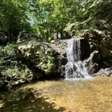 Cascade Falls Loop Trail, Maryland - 2,890 Reviews, Map | AllTrails