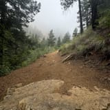 Seven Bridges Trail, Colorado - 7,711 Reviews, Map | AllTrails