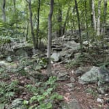 Pulpit Rock, Pennsylvania - 2,660 Reviews, Map | AllTrails