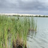 McKay Lake Trail, Colorado - 1,143 Reviews, Map | AllTrails