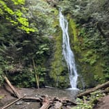 Madison Falls Trail, Washington - 1,816 Reviews, Map | AllTrails