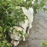 Joyce Estate Trail, Minnesota - 35 Reviews, Map | AllTrails