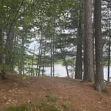 Joyce Estate Trail, Minnesota - 35 Reviews, Map | AllTrails