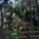 Bulow Woods Hiking Trail, Florida - 227 Reviews, Map | AllTrails