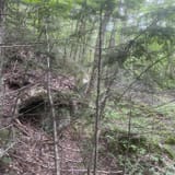 Artist Bluff Trail, New Hampshire - 4,783 Reviews, Map | AllTrails