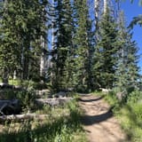 Alpine Pond North Loop, Utah - 224 Reviews, Map | AllTrails
