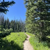 Alpine Pond North Loop, Utah - 224 Reviews, Map | AllTrails
