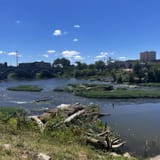 Dan Riverwalk Trail, Virginia - 270 Reviews, Map | AllTrails