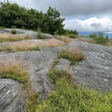 Spruce Hill via Hoosac Range Trail, Massachusetts - 616 Reviews, Map ...