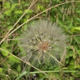 Johnny Reb Trail, Pennsylvania - 535 Reviews, Map | AllTrails