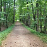 Five Mile Trail, New York - 1,550 Reviews, Map | AllTrails