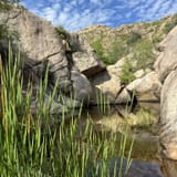 Romero Canyon Trail to Romero Pools, Arizona - 4,112 Reviews, Map ...