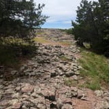 Devil's Honeycomb Trail , Missouri - 824 Reviews, Map | AllTrails