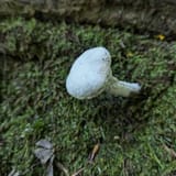 Sprague Brook Park Trail, New York - 1,407 Reviews, Map | AllTrails