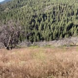 Dry Pond Loop, Nevada - 1,645 Reviews, Map | AllTrails