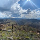 Mount McConnel Trail, Colorado - 590 Reviews, Map | AllTrails