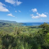 Okolehao Viewpoint via Okolehao Trail, Kaua'i, Hawaii - 2,818 Reviews ...