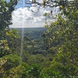 Okolehao Viewpoint via Okolehao Trail, Kaua'i, Hawaii - 2,818 Reviews ...