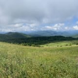 Max Patch Loop, North Carolina - 2,363 Reviews, Map | AllTrails
