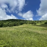 Max Patch Loop, North Carolina - 2,363 Reviews, Map | AllTrails