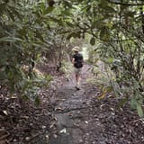 Max Patch Loop, North Carolina - 2,363 Reviews, Map | AllTrails