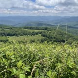 Max Patch Loop, North Carolina - 2,363 Reviews, Map | AllTrails