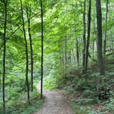 South River Falls Trail and South River Fire Road Loop, Virginia ...