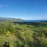 Okolehao Viewpoint via Okolehao Trail, Kaua'i, Hawaii - 2,818 Reviews ...