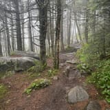 Beaver Brook Trail to Mount Moosilauke, New Hampshire - 1,367 Reviews ...
