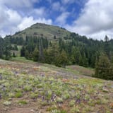 Cone Peak Trail, Oregon - 786 Reviews, Map | AllTrails