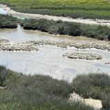 Padilla Bay Trail, Washington - 669 Reviews, Map | AllTrails