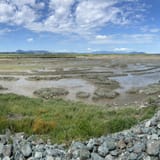 Padilla Bay Trail, Washington - 669 Reviews, Map | AllTrails