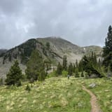 Hope Pass via Willis Gulch Trail, Colorado - 463 Reviews, Map | AllTrails