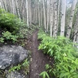 Hope Pass via Willis Gulch Trail, Colorado - 463 Reviews, Map | AllTrails