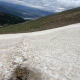 Hope Pass via Willis Gulch Trail, Colorado - 463 Reviews, Map | AllTrails